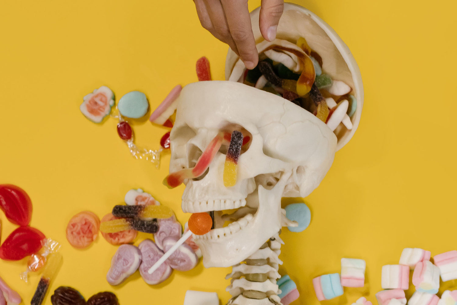 These Foods SHRINK Your brain – PhysioTru